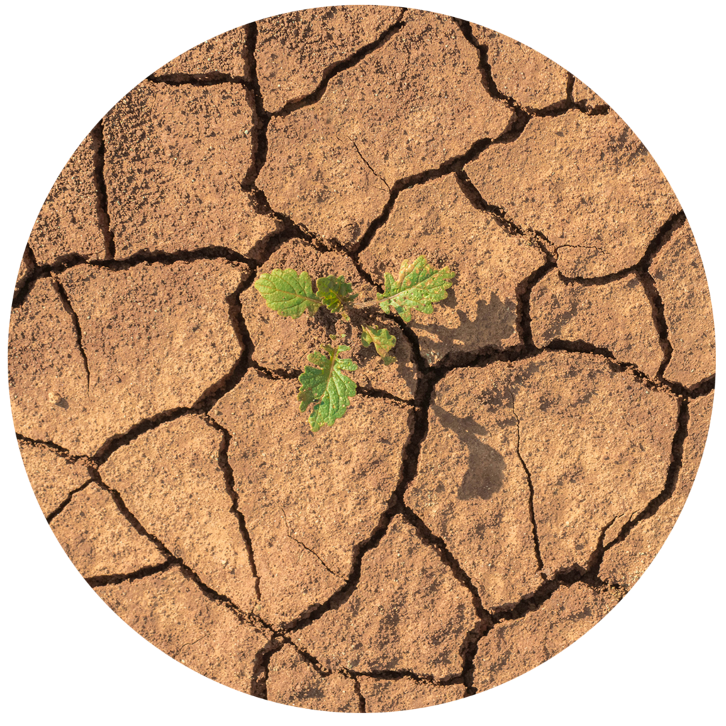 Careers | Climate Leadership Council